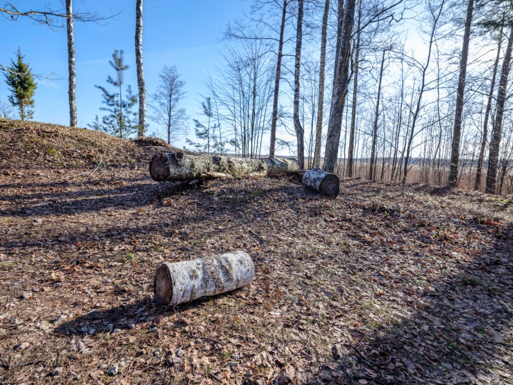 Land Clearing To Prepare Your Kentucky Property for Construction ...